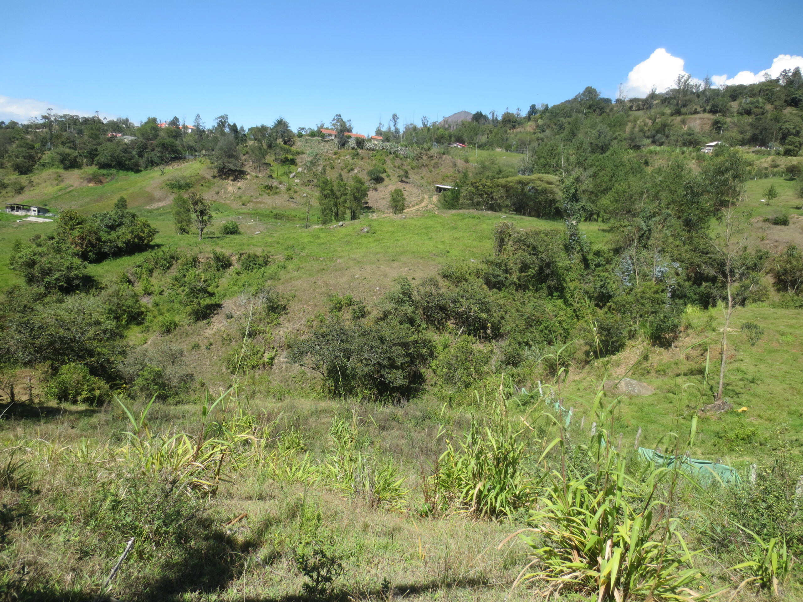 Gorgeous vistas from this nearly 3/4 hectare lot - Ecuador Real Estate ...