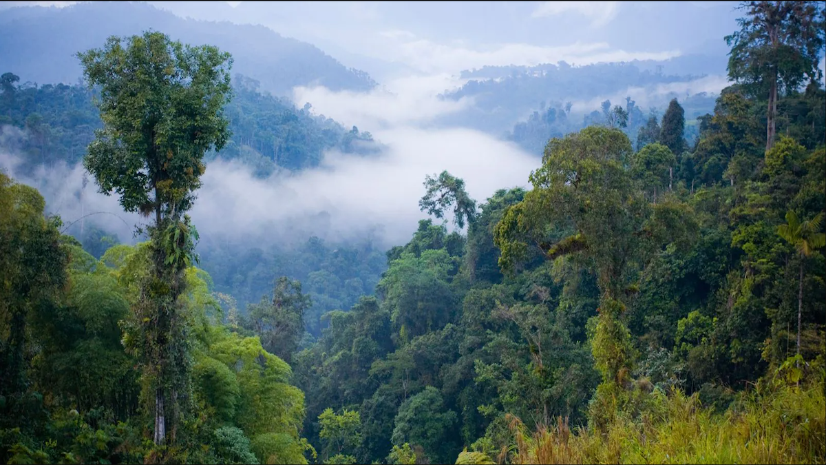 Financing - Ecuador Real Estate - Lodge